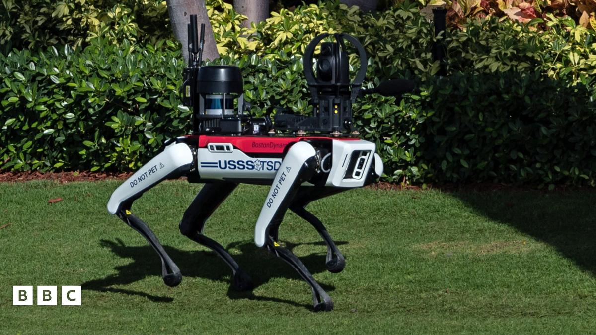 Donald Trump: Meet Spot, the security robot 'dog' - BBC Newsround