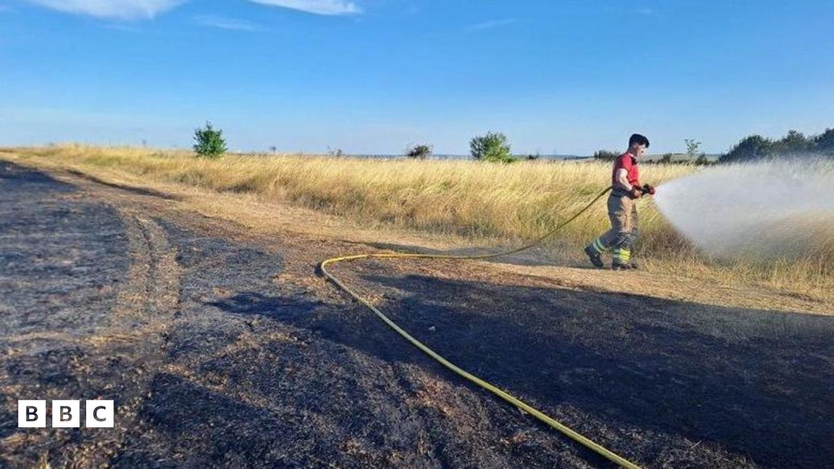Wildfires: Fire brigades tell Newsround about dangers of deliberate ...
