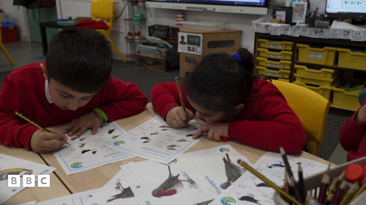 What's the RSPB's Big Schools' Birdwatch? - BBC Newsround