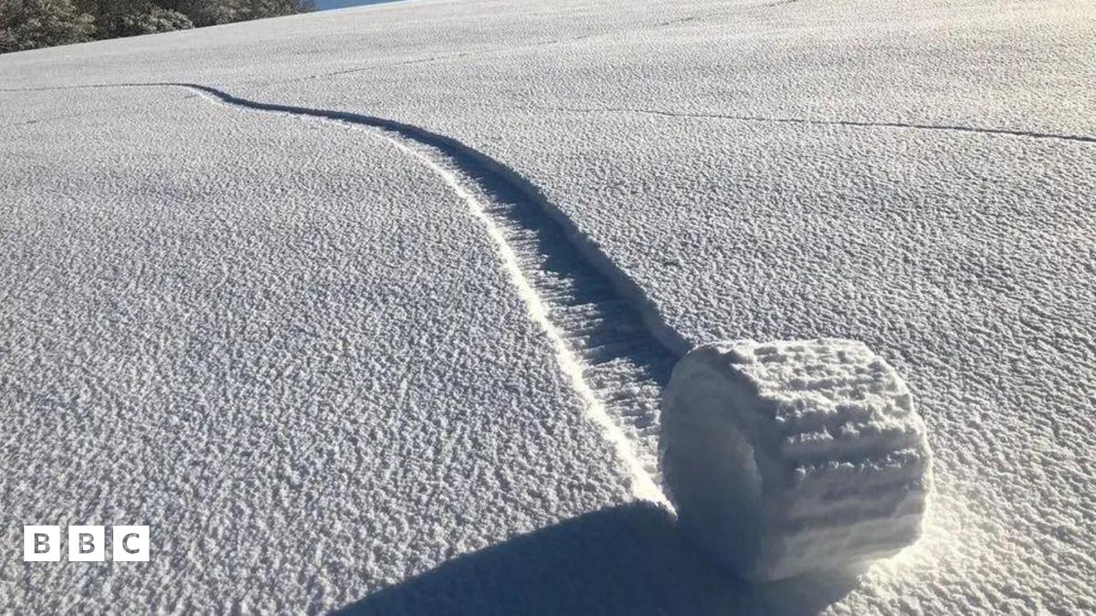 Snow rollers: What are they and how do they form? - BBC Newsround