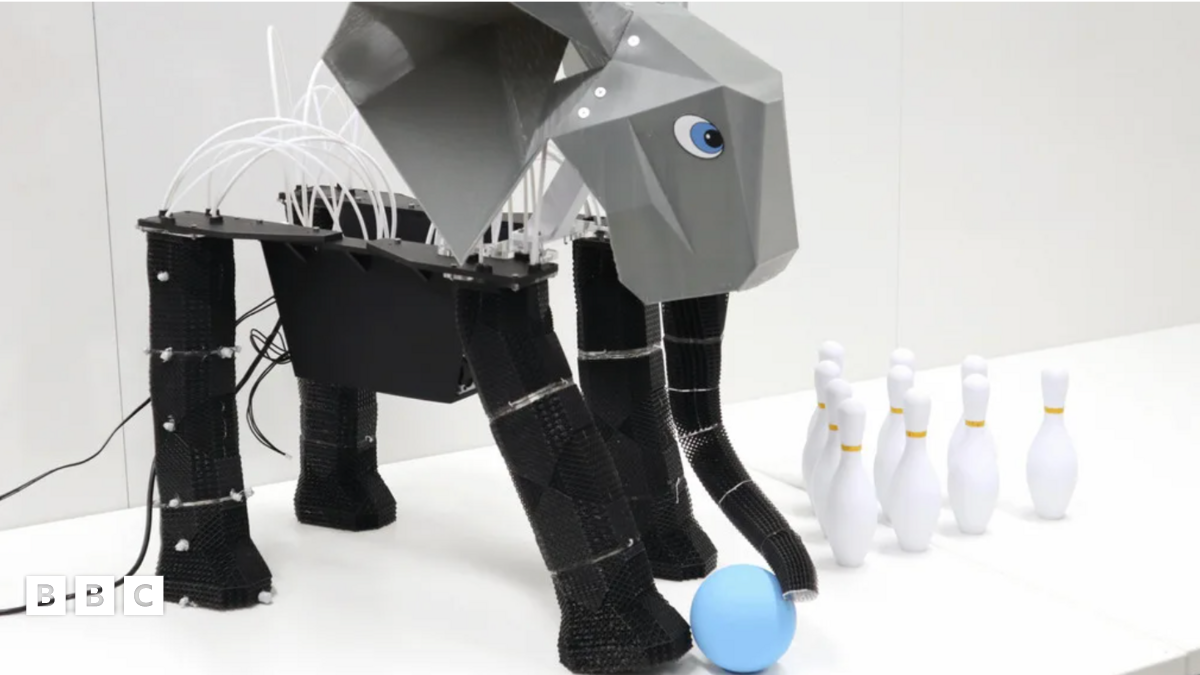 Angelica colombi video hot on the scheduled day, she met me