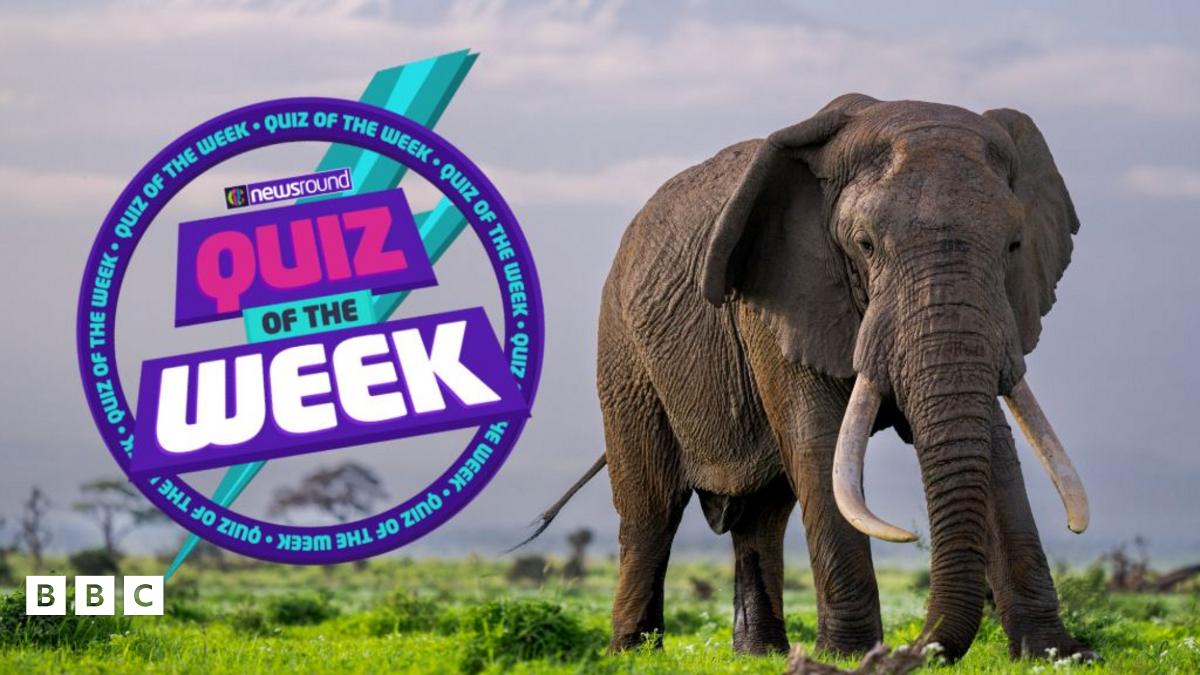 Quiz of the Week: BBC Newsround's top UK and world stories - BBC Newsround