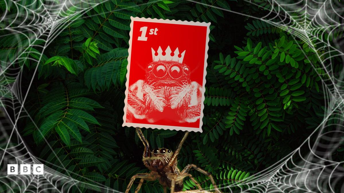 Royal Mail reveals 10 'fang-tastic' spider stamps - BBC Newsround