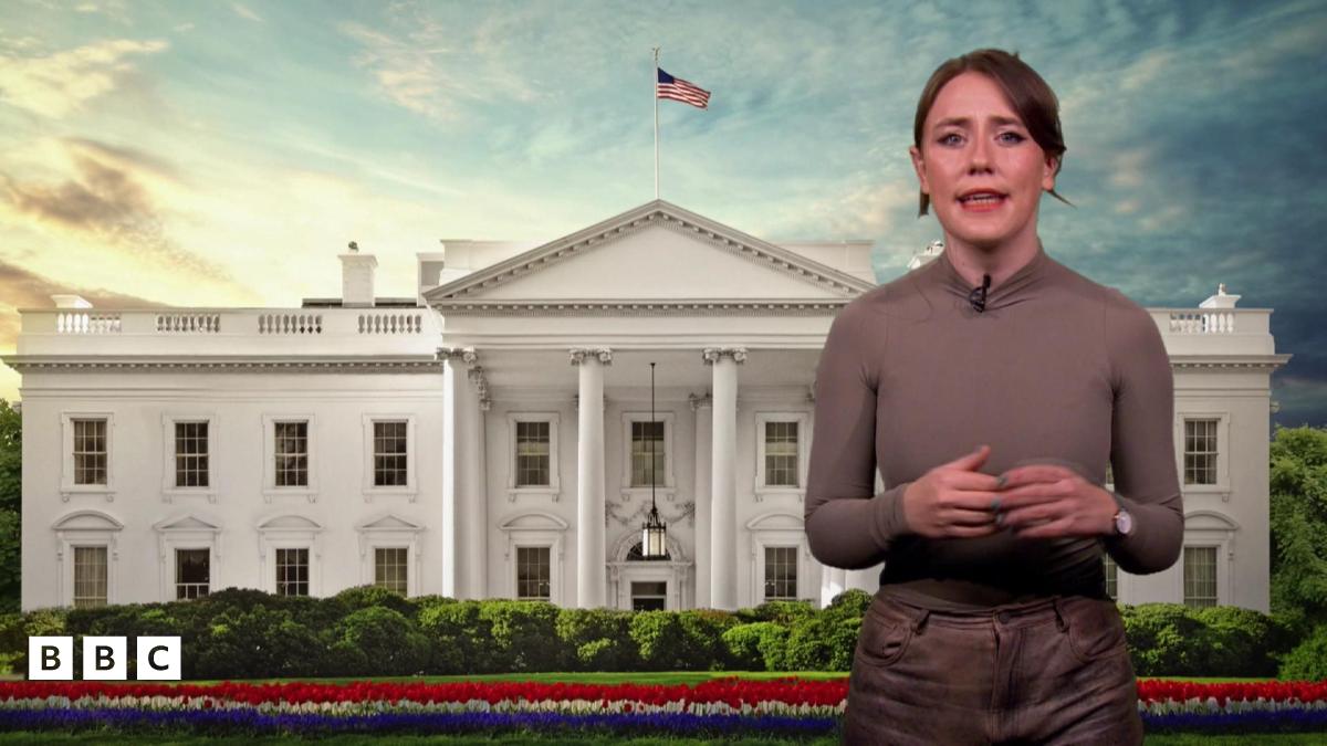 US Election: How social media could shape the election - BBC Newsround