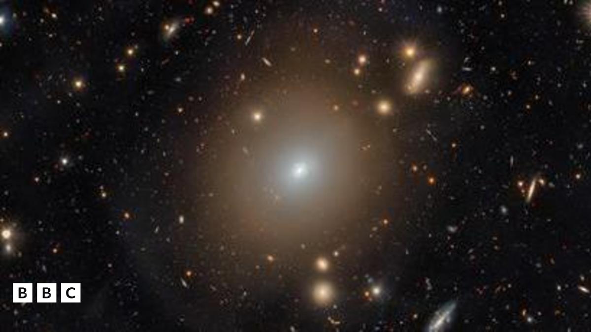 Euclid: Telescope captures image of rare Einstein ring in space - BBC Newsround