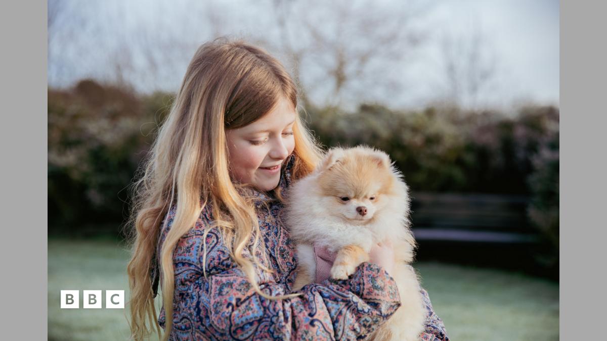 Hero Dogs: Meet the finalists of The Kennel Club awards - BBC Newsround