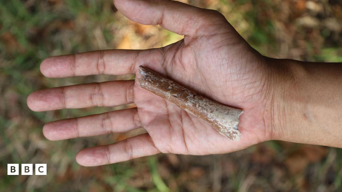 Ancient bones of the world's tiniest 'hobbit' humans discovered - BBC ...