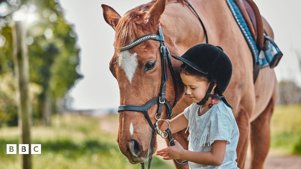 Horse riding: When did humans and horses first work together? - BBC ...
