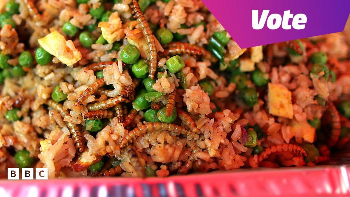 Eating insects: Could eating bugs become the norm? - BBC Newsround