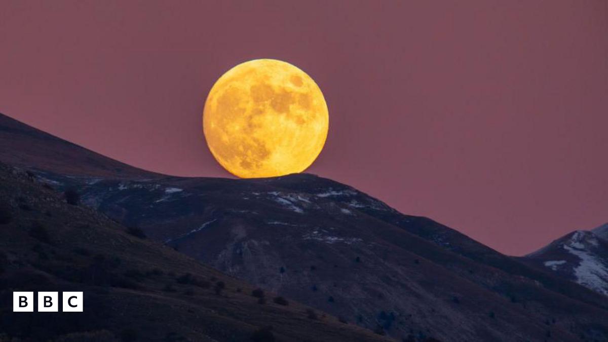 Beaver Moon 2024: Why is November's full Moon special and when will it ...