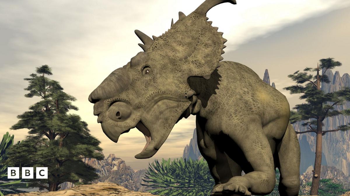 The massive dinosaur skull found after 72 million years in Canada - BBC ...