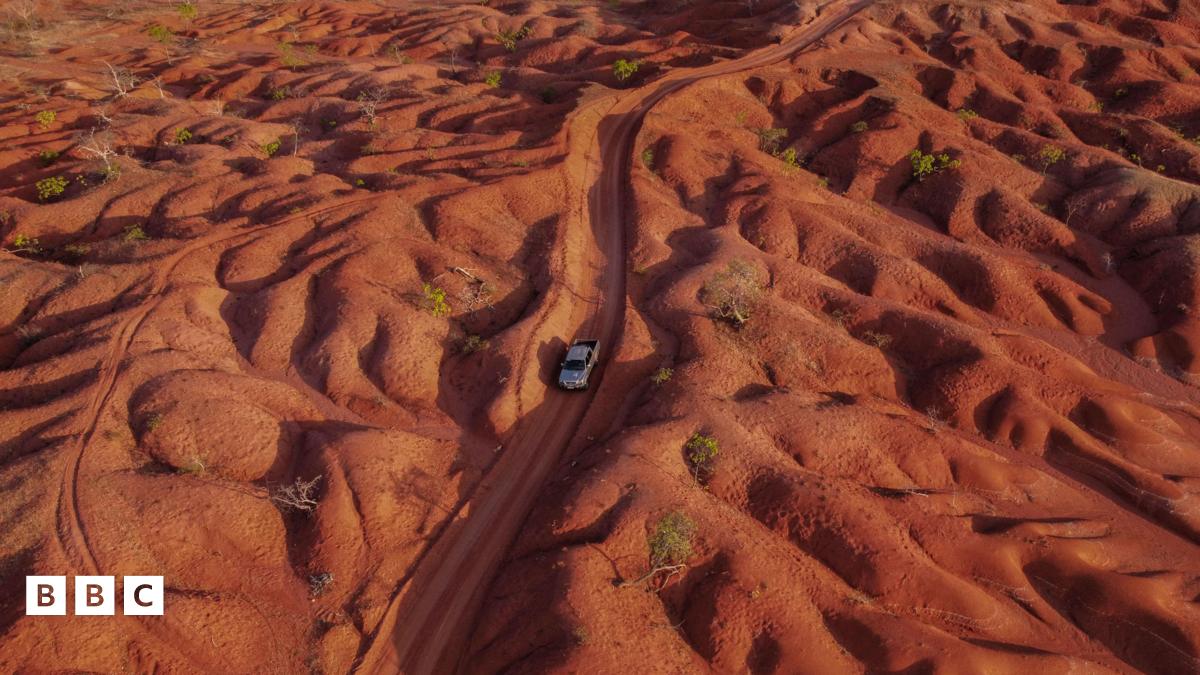 World Environment Day 2024: What is desertification - BBC Newsround