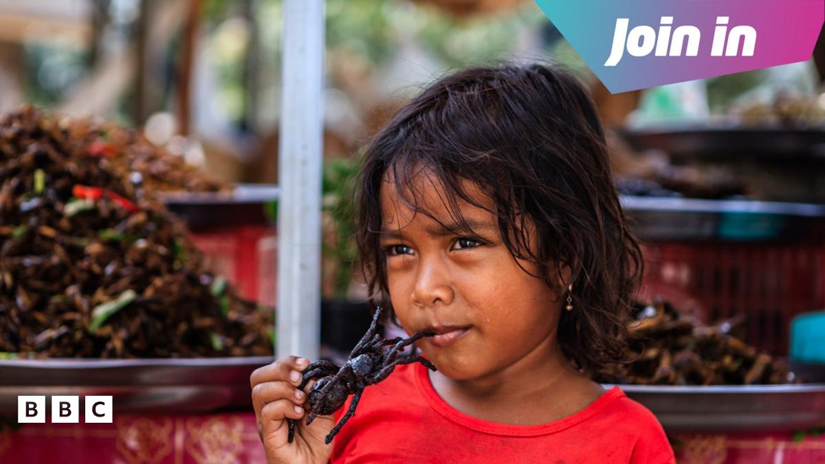 Singapore insects approved as food - BBC Newsround