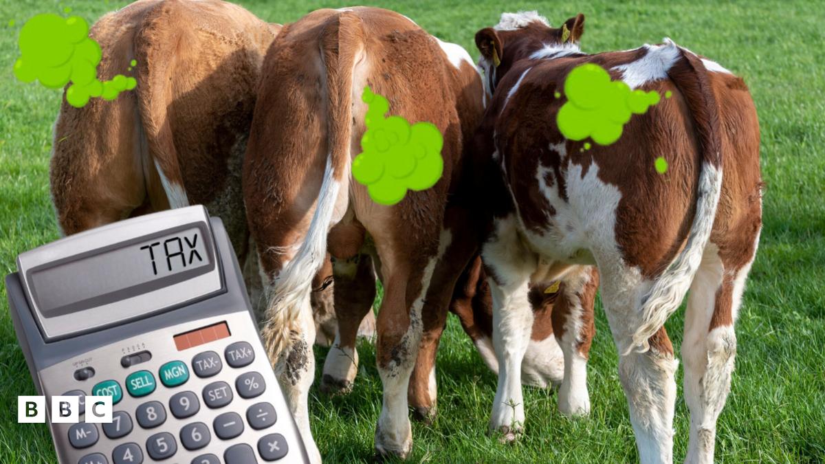 The world's first 'fart tax' to be introduced in Denmark - BBC Newsround