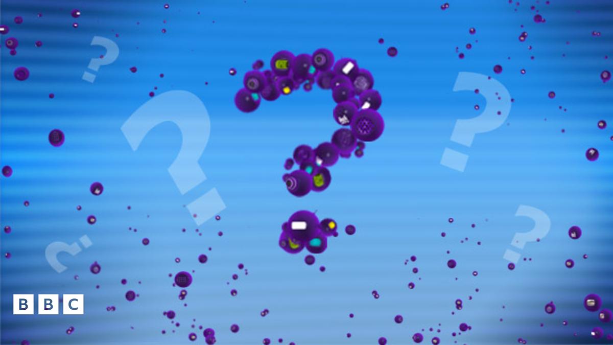 Frequently asked questions - BBC Newsround