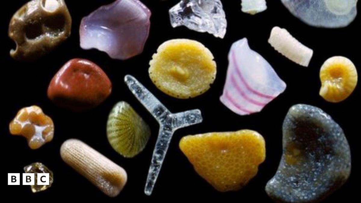 Mega close-up pictures of sand! - BBC Newsround