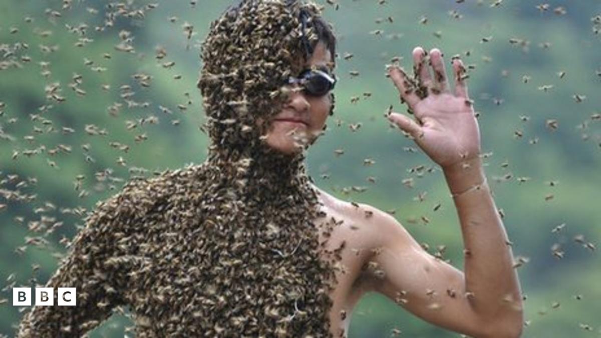 Un-bee-lievable: people get covered in bees in China - BBC Newsround