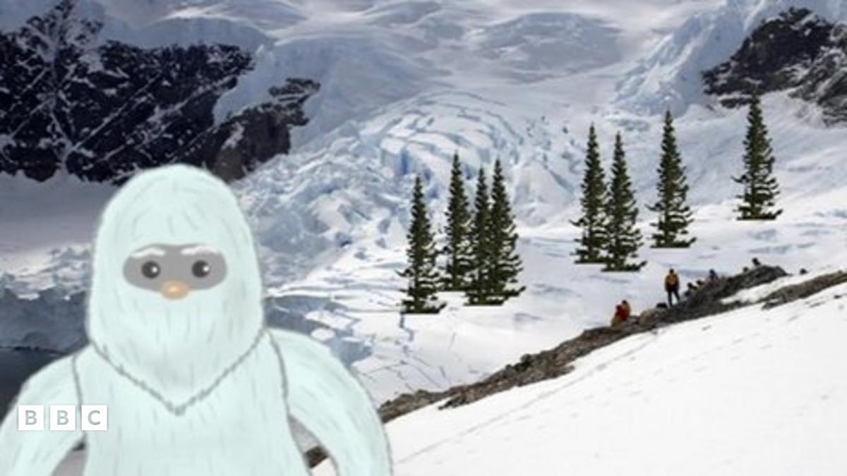Scientists set off to find the Abominable Snowman - BBC Newsround