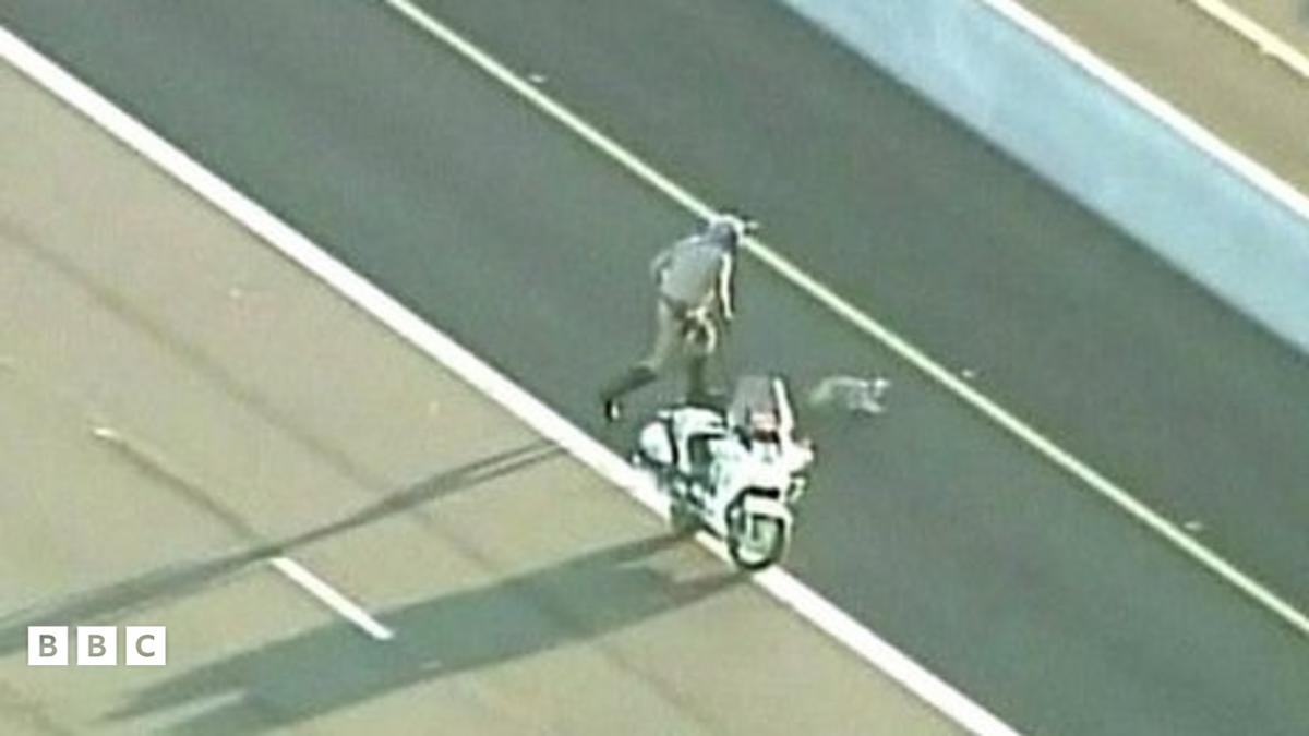 Watch a policeman chase a runaway dog! - BBC Newsround