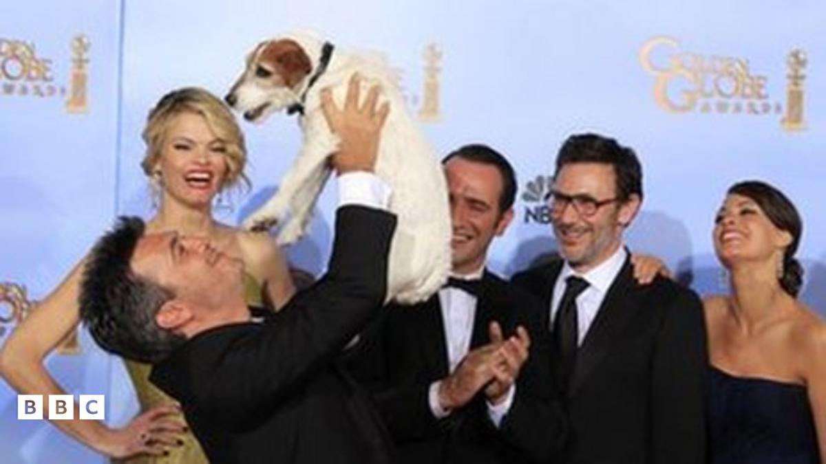 Uggie the dog steals the show at Golden Globes - BBC Newsround