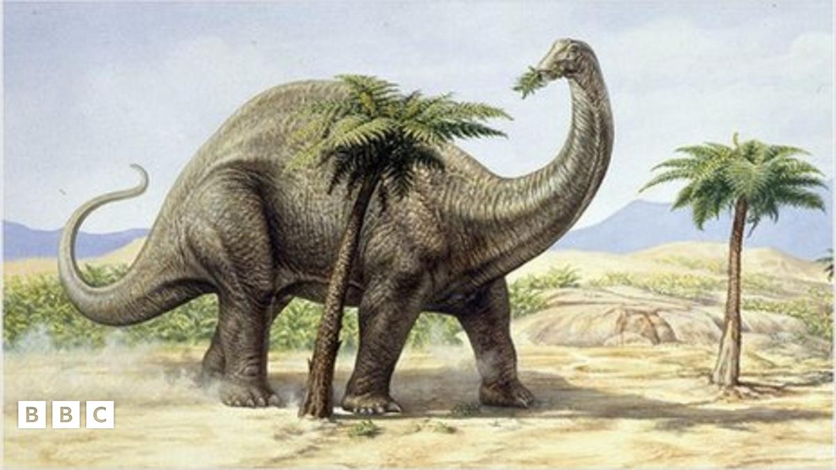 Dinosaur farts caused global warming, say experts - BBC Newsround