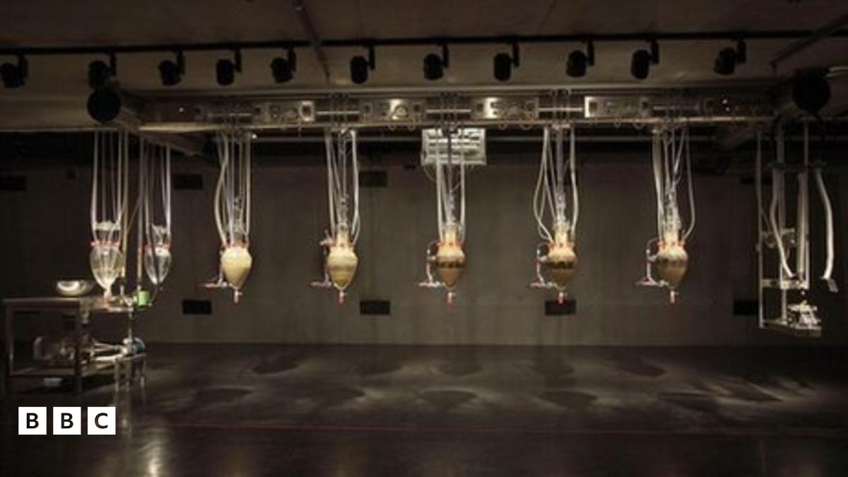 Poo machine causes a stink in Australia - BBC Newsround