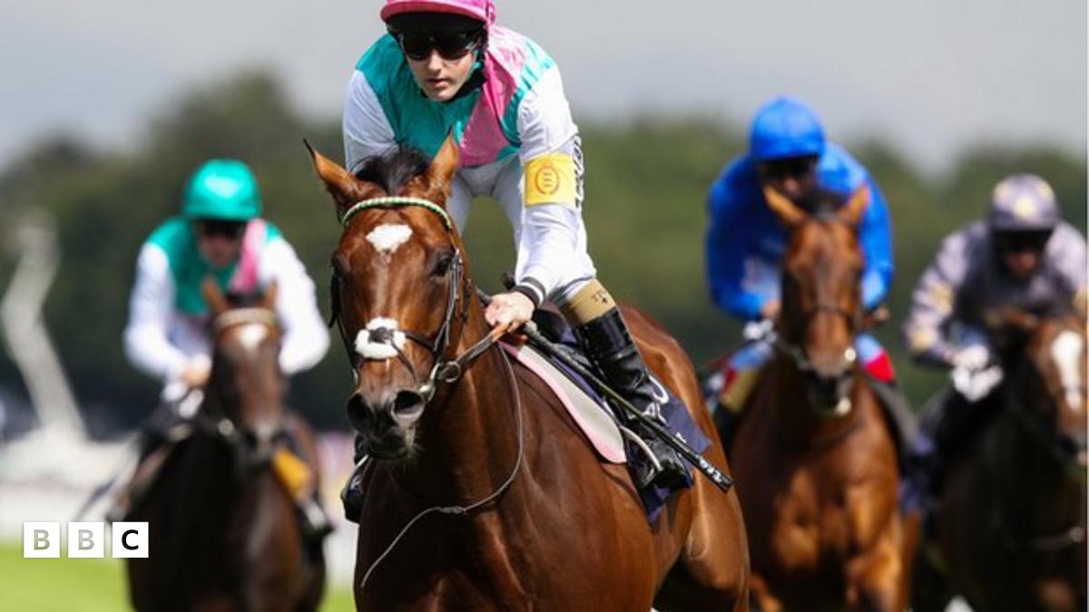 Frankel, the 'Usain Bolt' of horse racing wins again - BBC Newsround