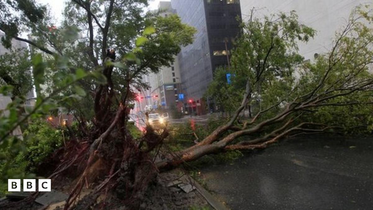 Thousands flee homes as Hurricane Isaac hits - BBC Newsround