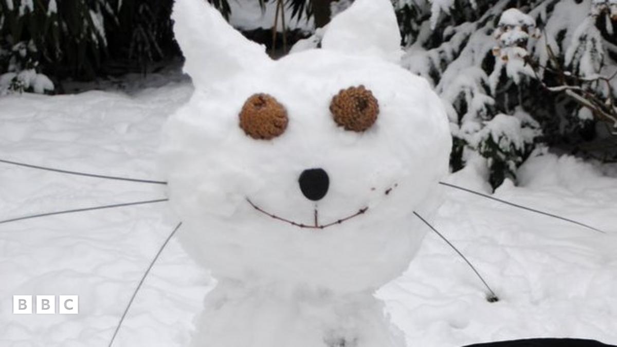 Pictures of your epic snow creations! - BBC Newsround