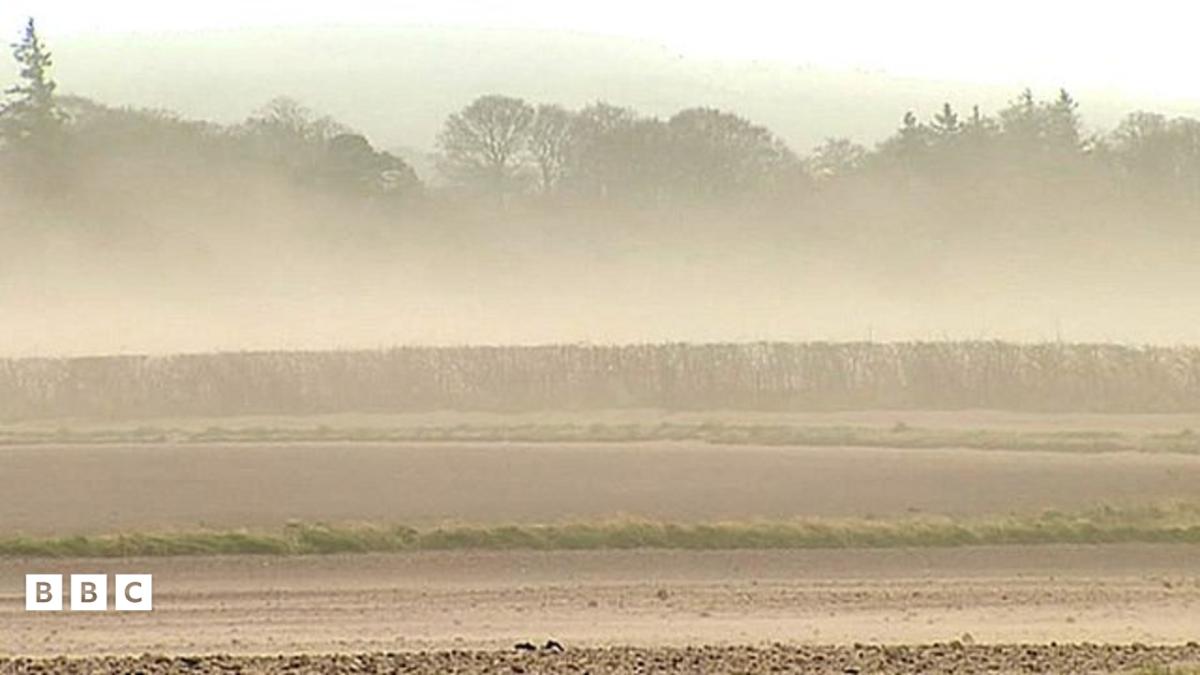 High winds cause Scotland sandstorms - BBC Newsround