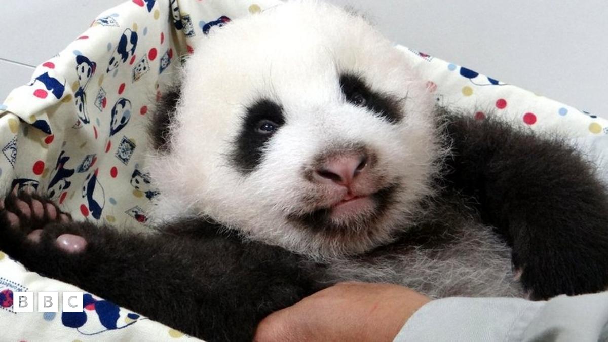 Day in pictures - 10 September - BBC Newsround