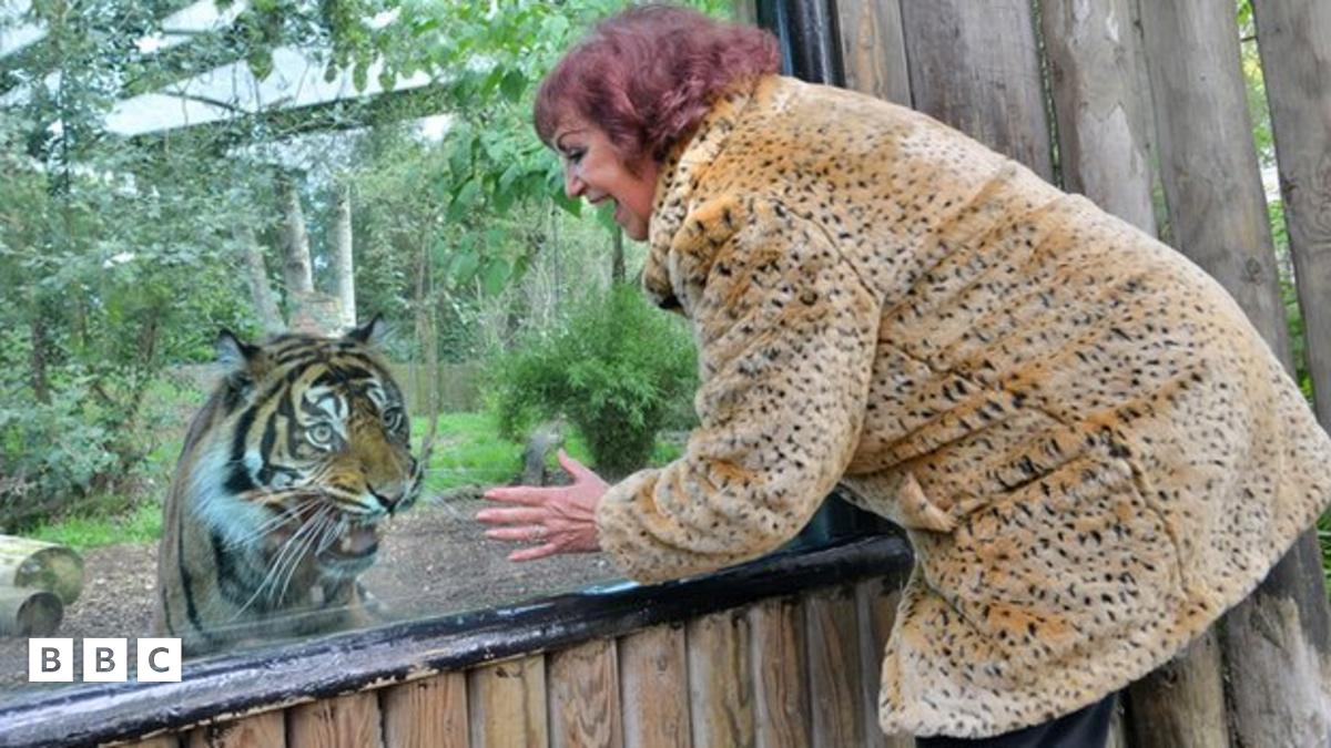 Wildlife park bans animal print clothing - BBC Newsround