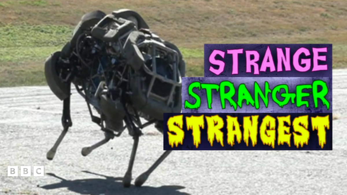 Watch this week's top three strange and weird clips - BBC Newsround
