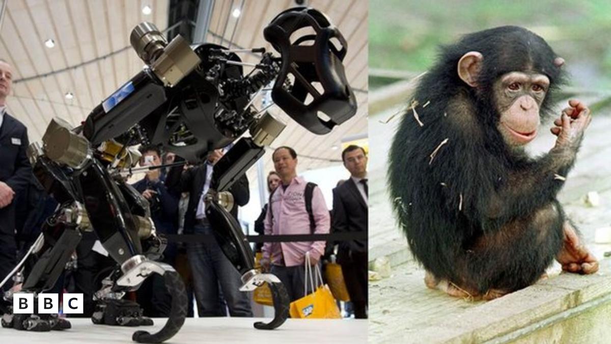 Amazing animal animatronics - BBC Newsround