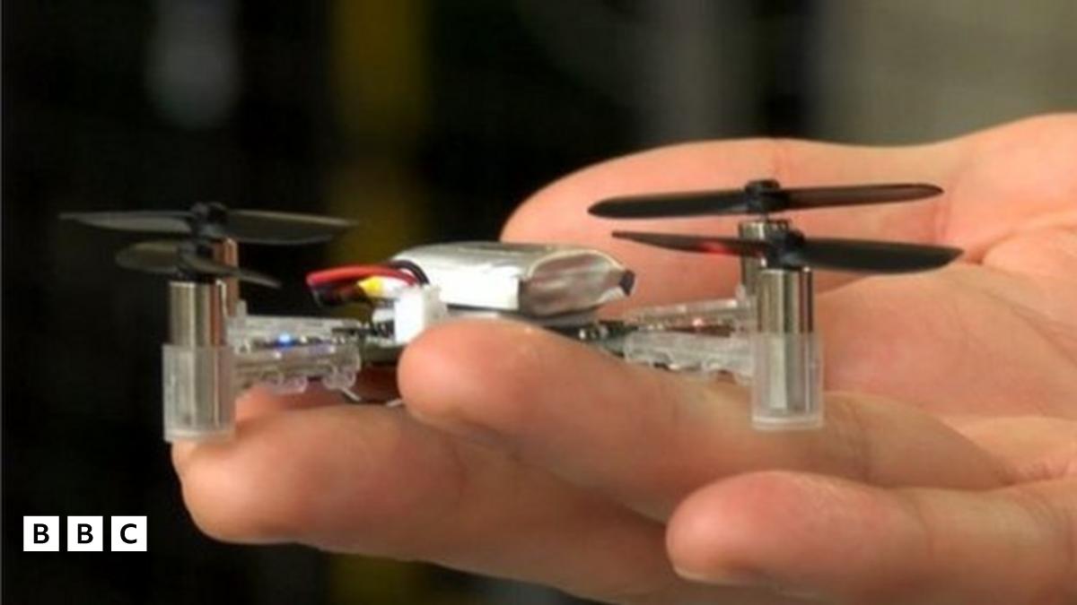 Birds, bats and flying snakes inspire new drone designs - BBC Newsround
