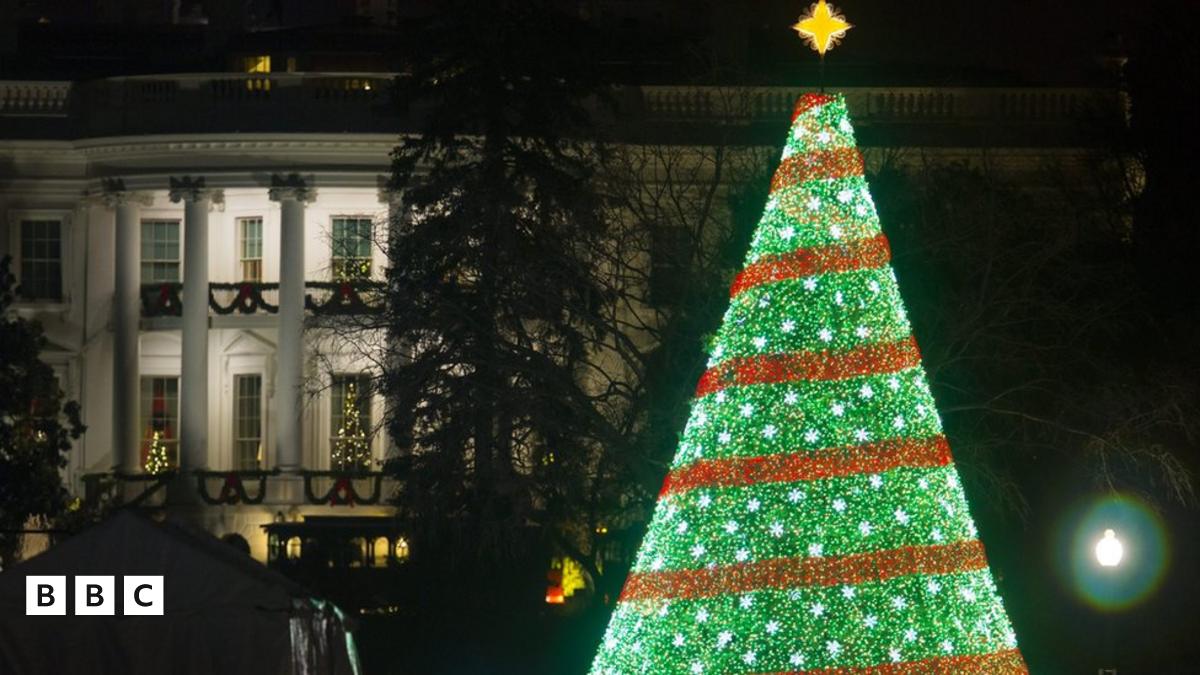 Christmas trees around the world - BBC Newsround
