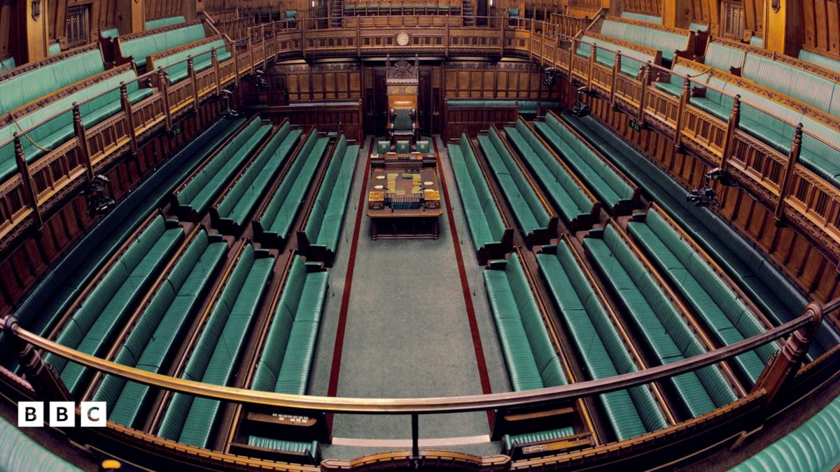Would you want to be an MP? And if so why? - BBC Newsround