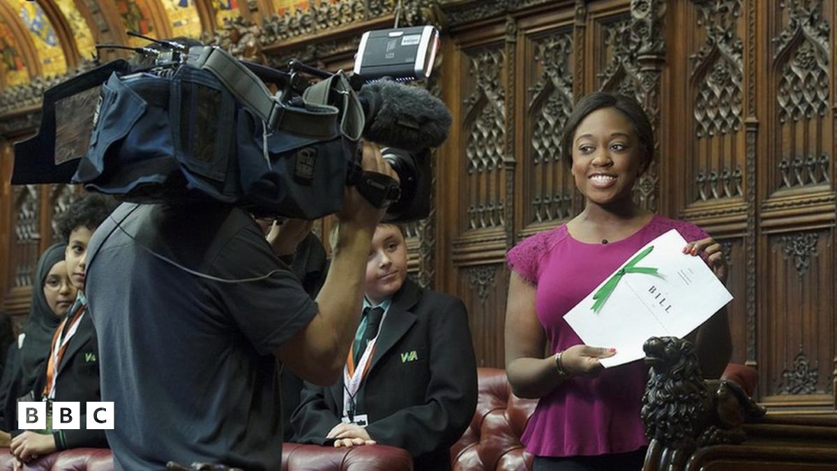 How are new UK laws made? - BBC Newsround