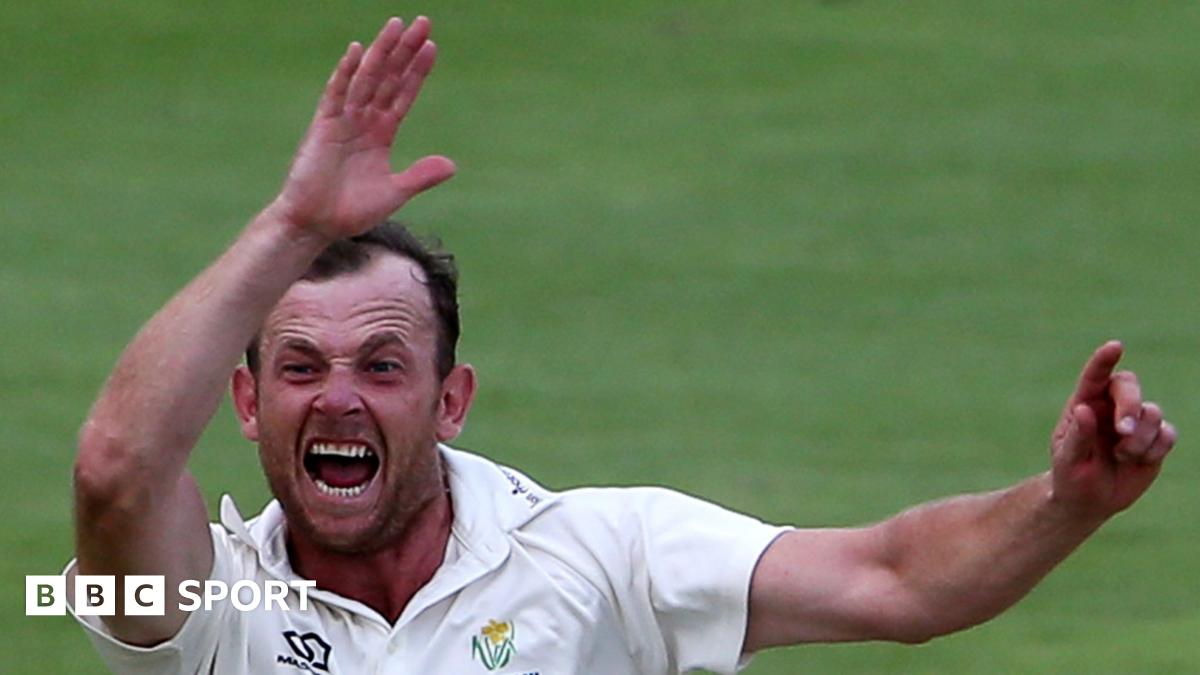 Graham Wagg: Ex-Glamorgan all-rounder joins Wiltshire club team ...