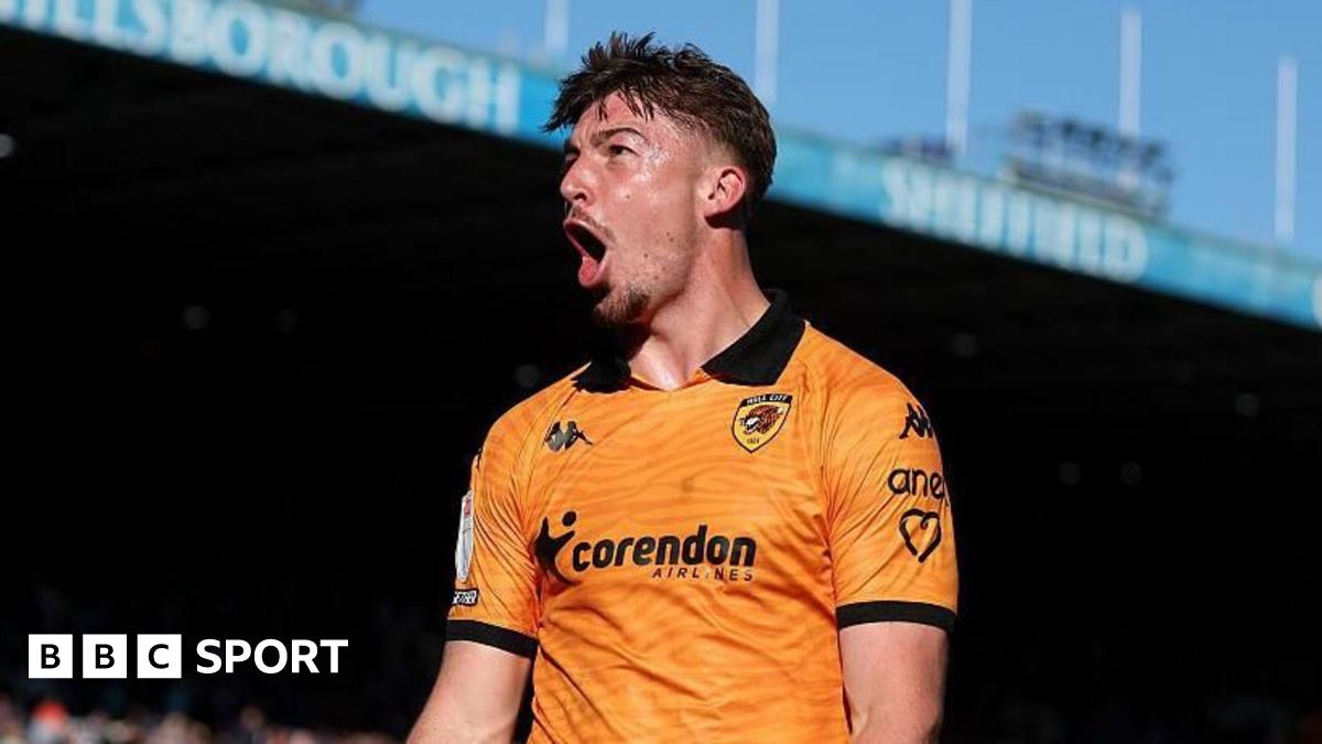 Sheffield Wednesday 0-1 Hull City: Tigers get vital three points in ...