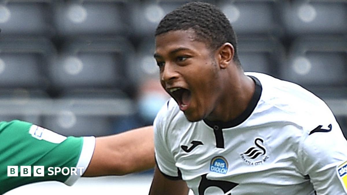Swansea City 2-1 Sheffield Wednesday - BBC Sport