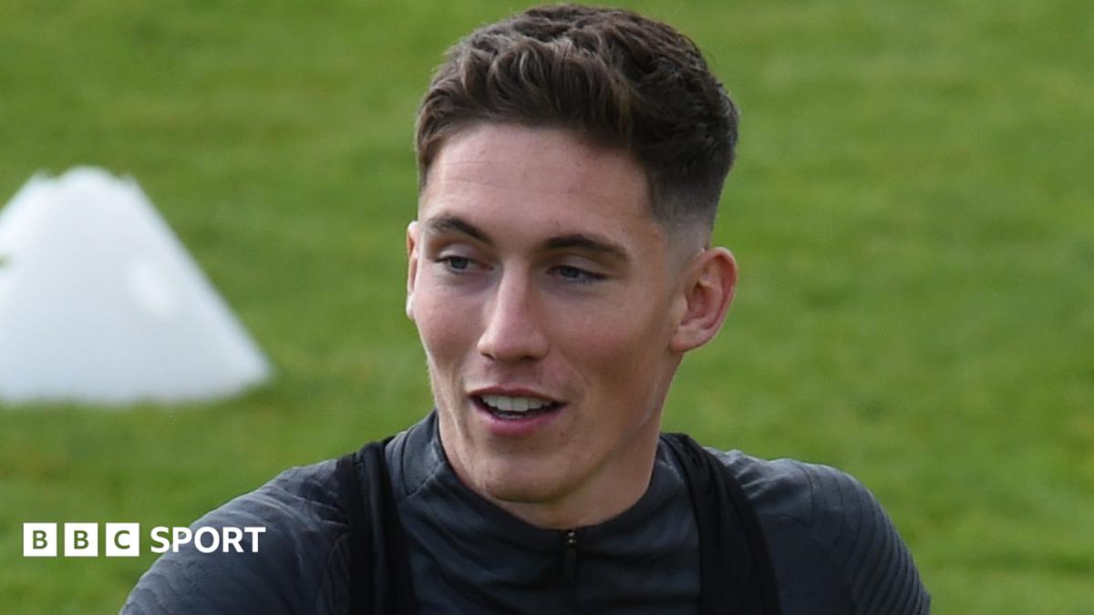 Harry Wilson: Cardiff City sign Liverpool and Wales forward on loan ...
