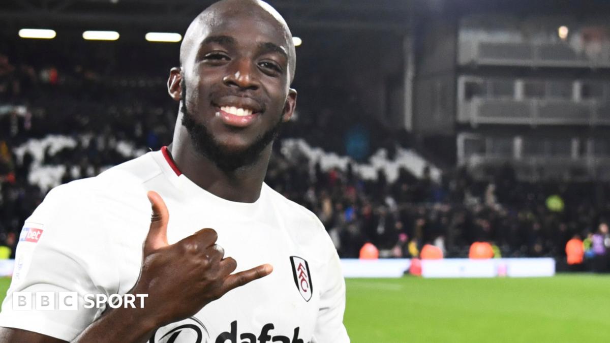 Fulham: Aboubakar Kamara and Kevin McDonald sign contract extensions ...