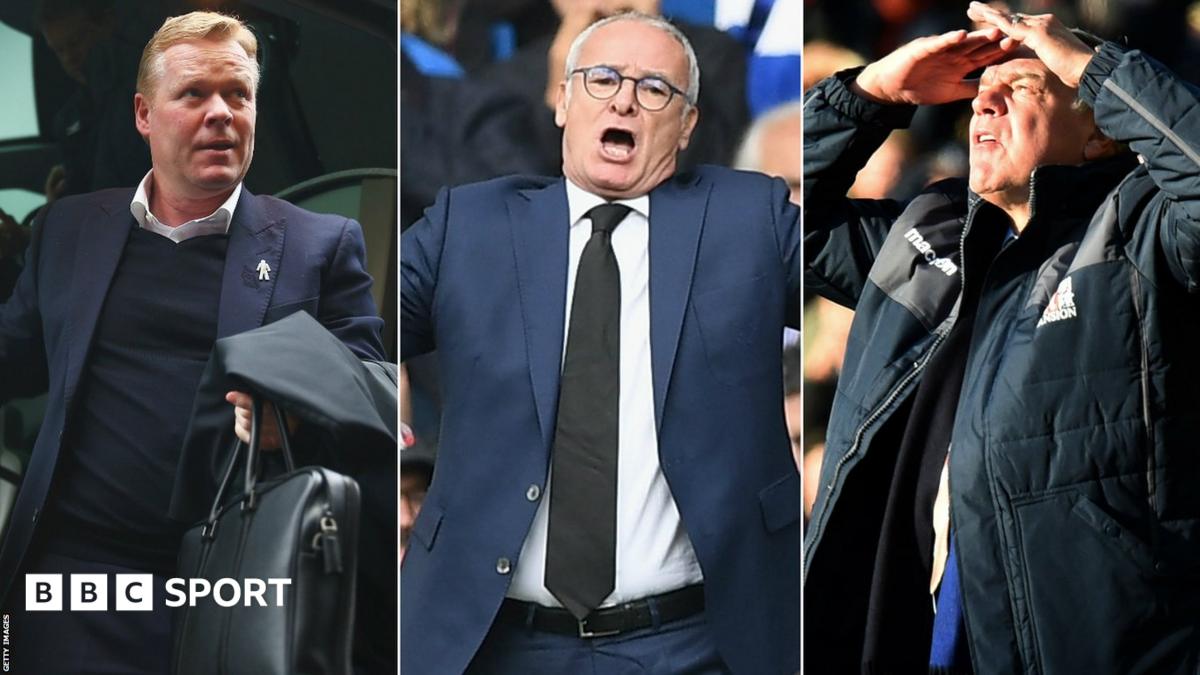 Premier League January transfer window: Who needs what? - BBC Sport