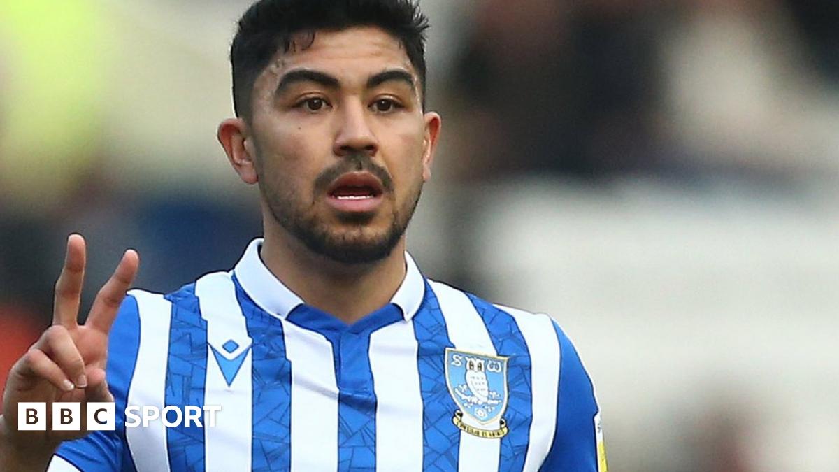 Joe Wildsmith, Massimo Luongo & Nathaniel Mendez-Laing: Sheffield ...