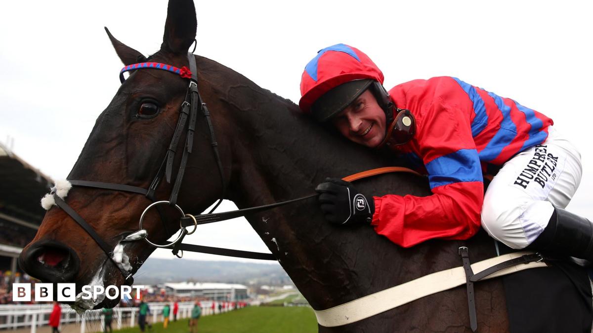 Sprinter Sacre: Jump racing's 'brilliant' horse is retired after tendon ...