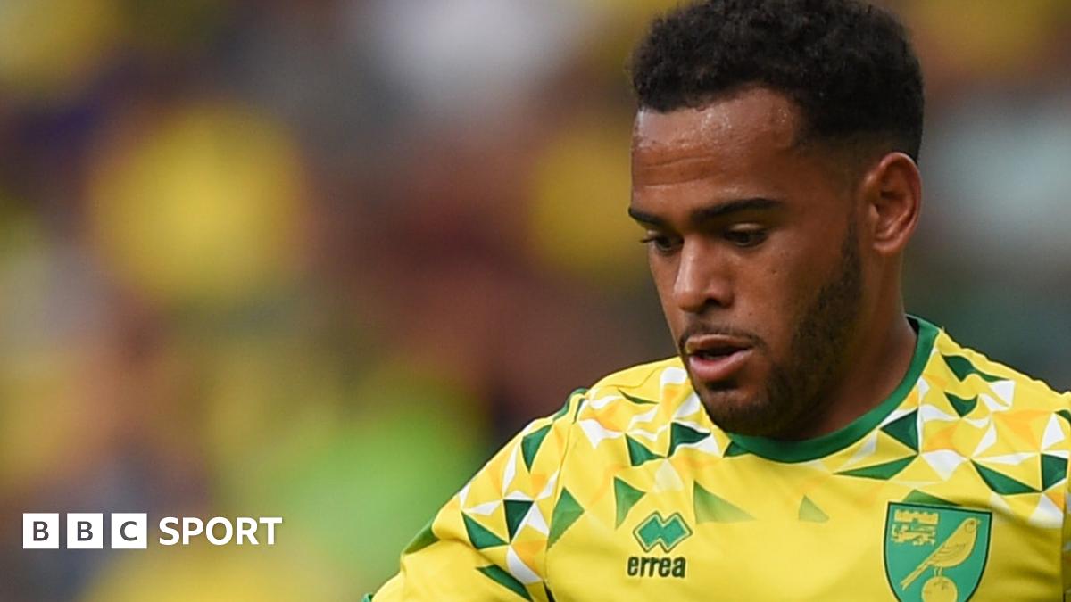Louis Thompson: MK Dons sign Norwich midfielder - BBC Sport