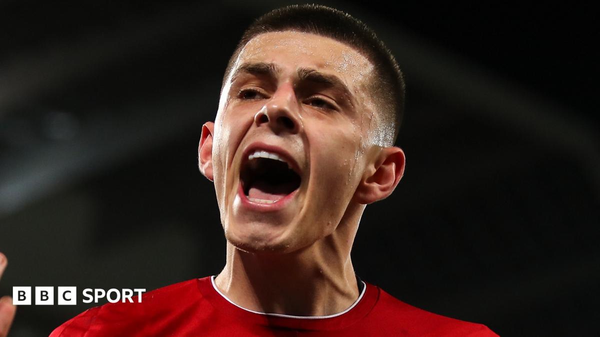 Adam Lewis: Liverpool left-back agrees Newport County loan move - BBC Sport