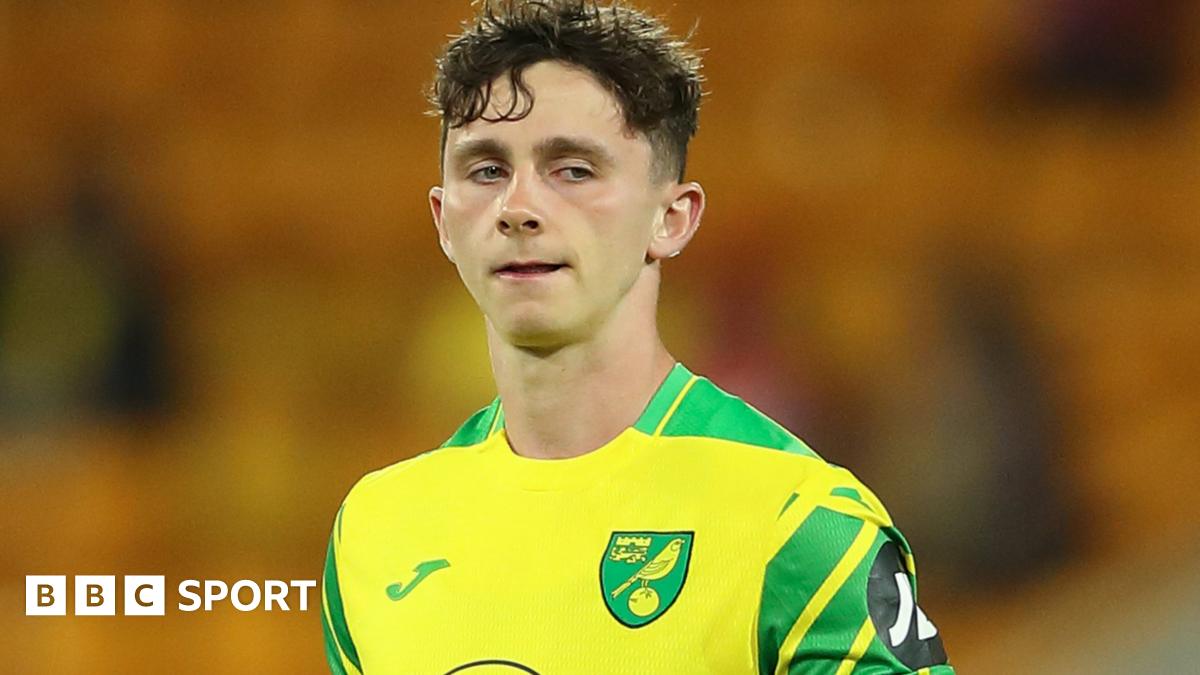 Daniel Adshead: Gillingham sign Norwich midfielder on loan - BBC Sport