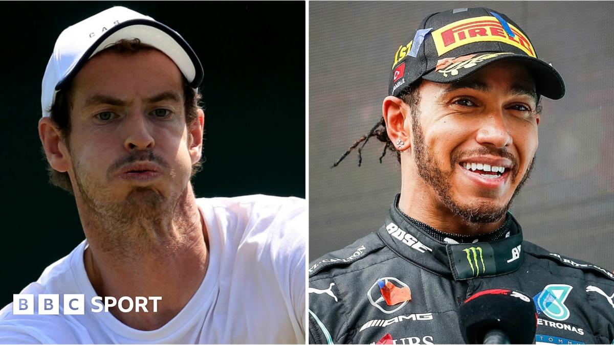 murray hamilton interview